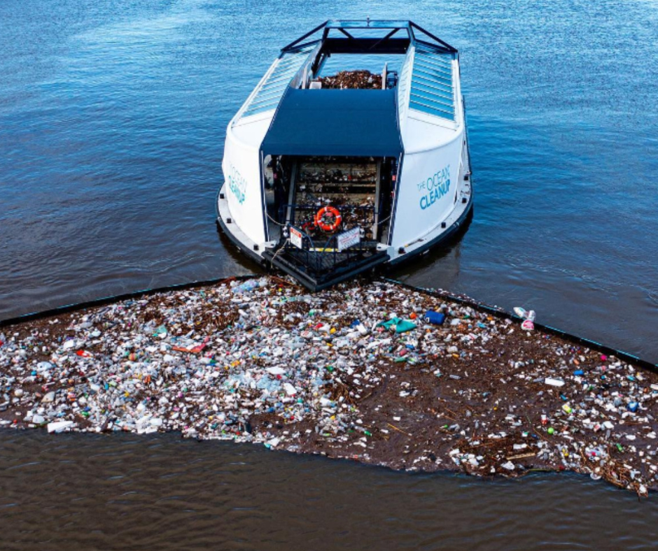 WOAT X HODL Collaboration: All you need to know. – Whale Of A Time Clothing